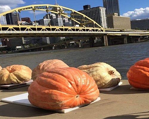 October Events in Pittsburgh | Walnut Capital Blog
