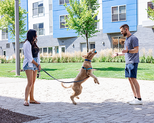 How Walnut Capital Stays Green | Walnut Capital Blog